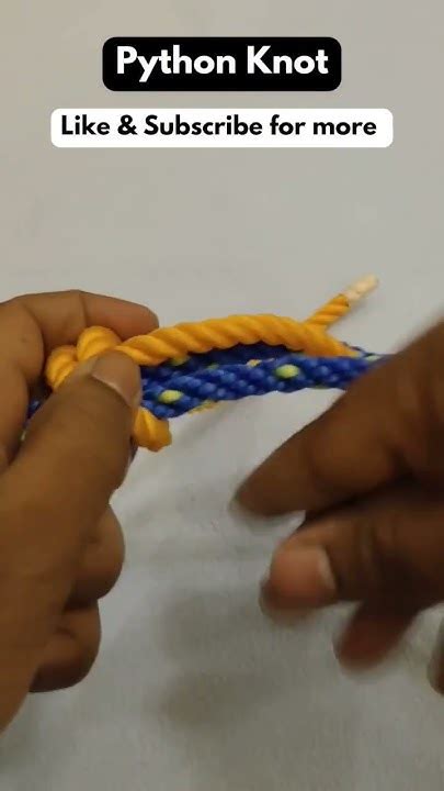 Strong Python Knot To Bind Two Ropes Shorts Viral Shortsvideo Youtube