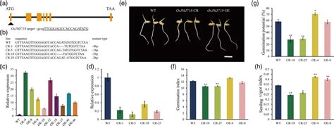 喜讯广东省农科院刘军研究员团队转录组激素揭示水稻种子萌发机制 哔哩哔哩