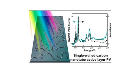 Optically Generated Free Carrier Collection From An All Single Walled Carbon Nanotube Active
