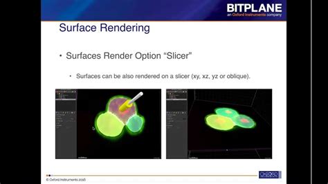 How To Analyse Large Datasets Using Imaris Surface Model Webinar