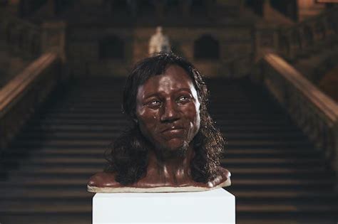 Anthropological Inputs In Facial Reconstruction Anthromania
