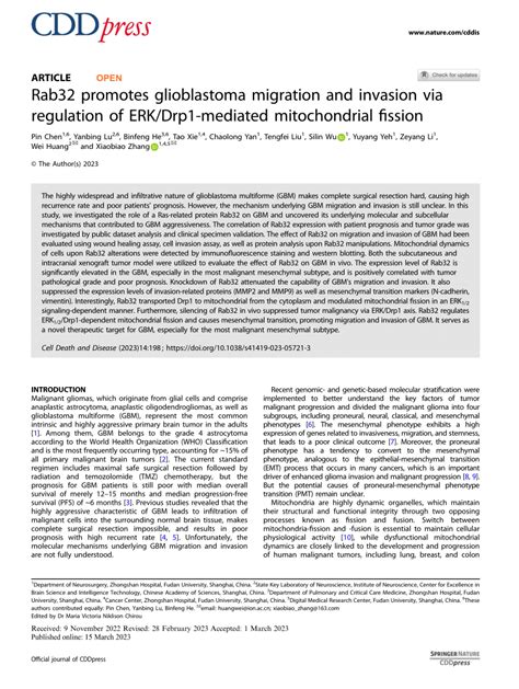 Pdf Rab32 Promotes Glioblastoma Migration And Invasion Via Regulation