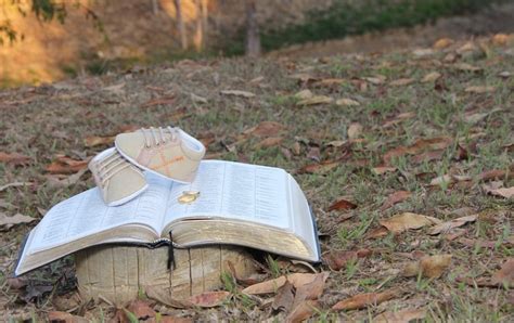Welcher Biblische Name Passt Zu Deiner Tochter Oder Deinem Sohn