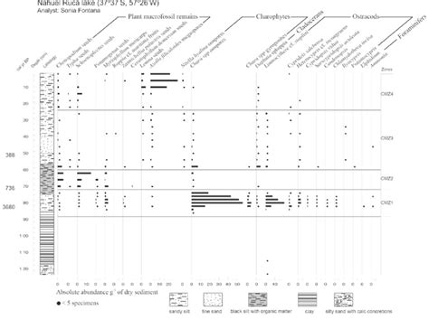 Abundance Of Calcareous Microfossils Ostracods And Foraminifera And Download Scientific