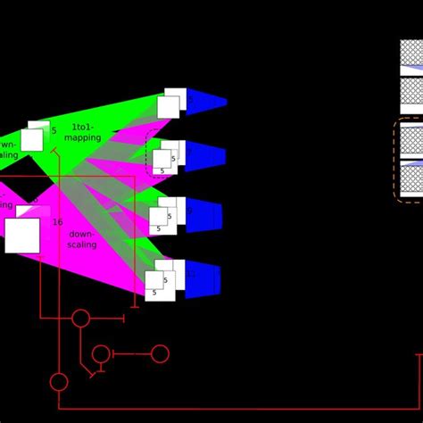 The Snn Architecture The Network Consists Of Five Layers L Input