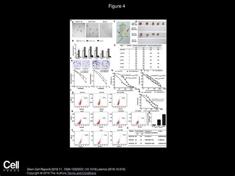 Volume 11 Issue 6 Pages December 2018 Ppt Download