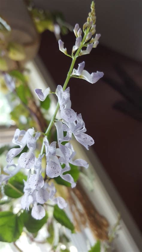 Barbara Freitas Barbara Freitas Added A New Photo