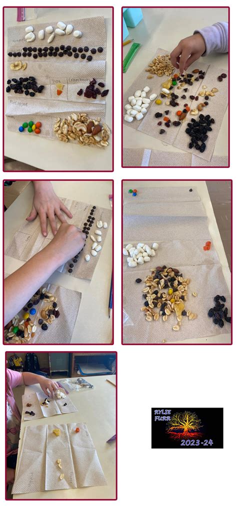 Springlake Earth Elementary School Fourth Grade Mixture And Soultions