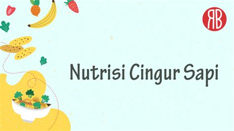 Nutrisi Cingur Sapi Kandungan Gizi Manfaat And Efek Samping