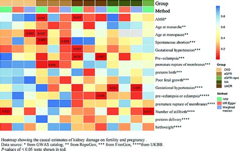 Heatmap Showing The Causal Estimates Of Kidney Function On Fertility Download Scientific
