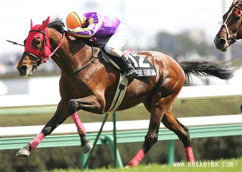 バローネフォンテン Barone Fountain 競走馬データ Netkeiba