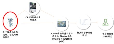 万字详解靶向蛋白降解诞生二十年近五年繁荣一文讲清PROTAC及分子胶等TPD技术 知乎