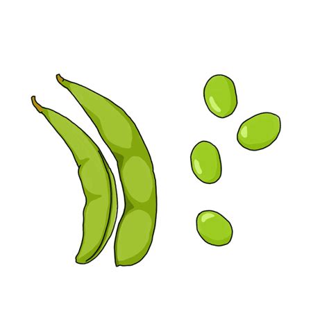 「相性が悪い野菜」の組み合わせを知る重要性！！無肥料無農薬栽培の基本 自然に寄り添うズボラ菜園