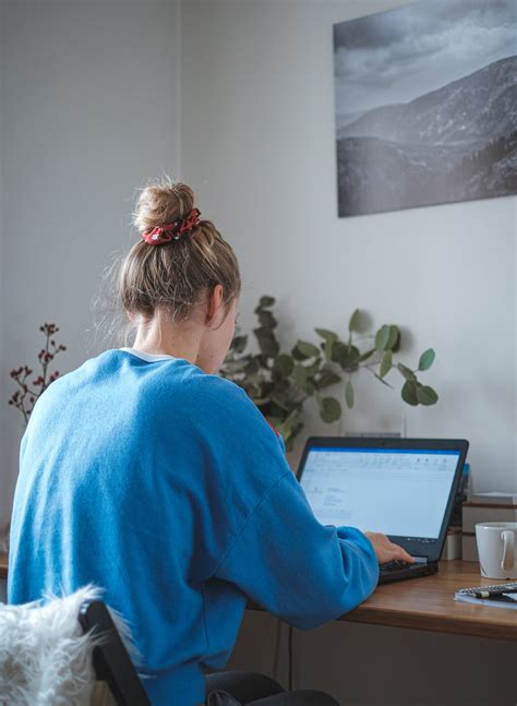 Wfh Future Workplace The Bridge Group Llc