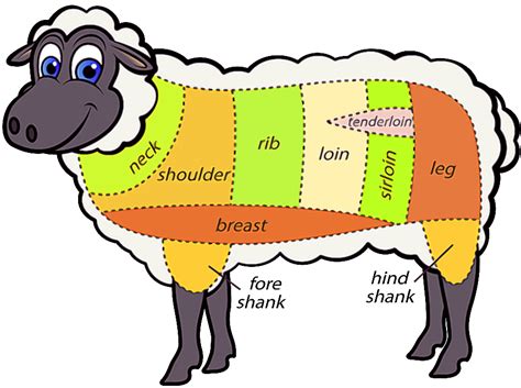 Parts Of A Lamb Diagram