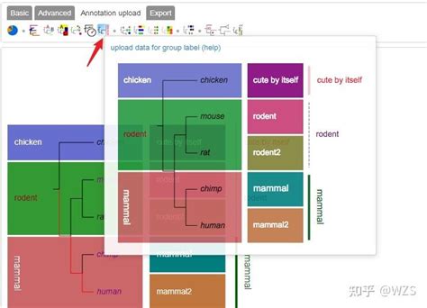 进化树美化——evolview基本命令速查与教程 哔哩哔哩