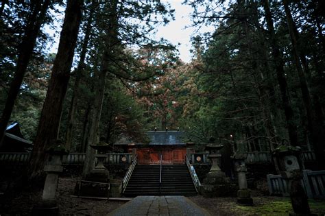 森の鎮守様 by 小梨怜 ID1690105 写真共有サイト PHOTOHITO