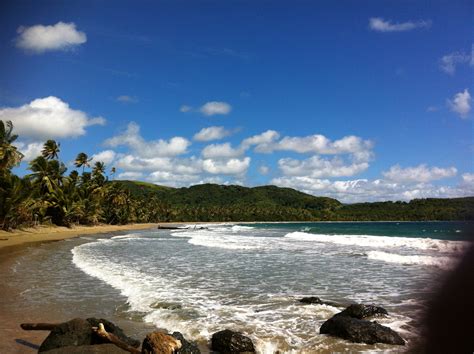 Bacolet Tobago Land Trinidad And Tobago Real Estate