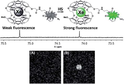 Top Scheme Of Biosensor For H 2 S Activatable Via Both Fluorescence