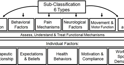 Smarterehab Blog Sub Classification By Smarterehab Mission Accomplished