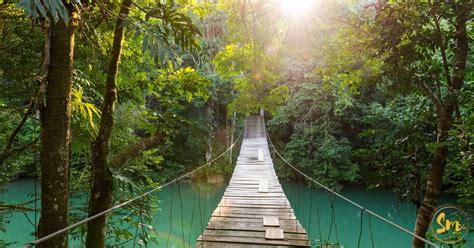 How To Use Perception Checking For Effective Communication By Suzanne Marie Ma M Ed