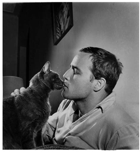 Celebrate International Cat Day With These Famous Cat Lovers And Their