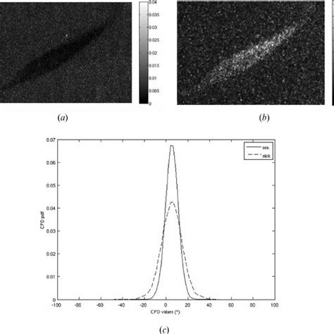 C And L Band Sir Cx Sar Data Set Download Scientific Diagram