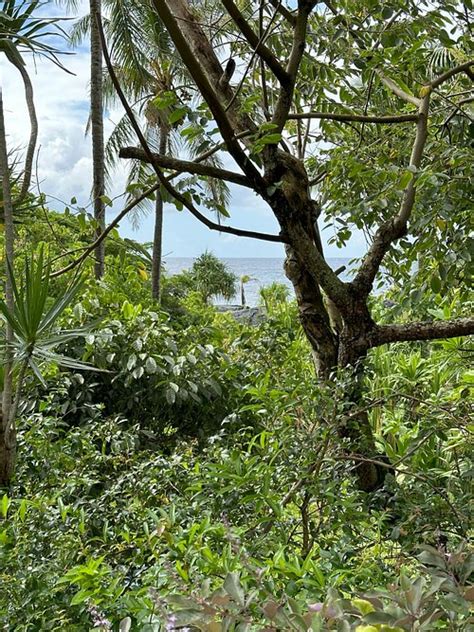 Maukele Lodge Prices And Reviews Kalapana Hi