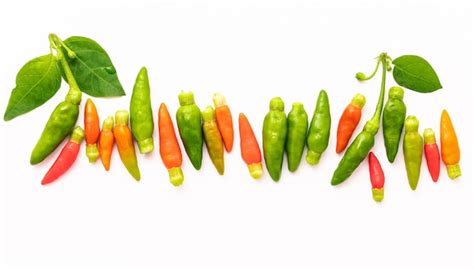 Chiles De Ojo De Pájaro Tailandés Frescos Aislados Sobre Fondo Blanco