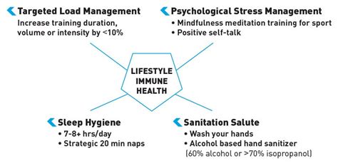Exercise And Nutritional Immunology A Three Part Series Part 3