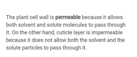 Cell Wall Permeability Cell Wall Plant Cell Molecules