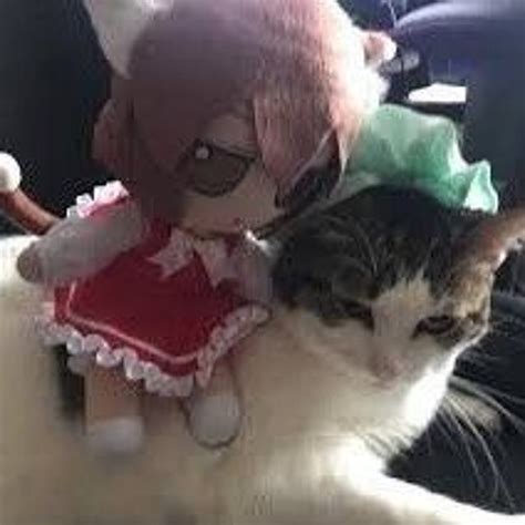 Stream Ccccccccccccccccccccccccccccccccccccccccccccccccccccccccccccccccc By Notspookymoo