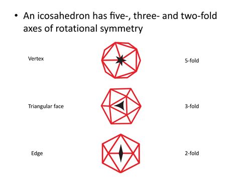 Ppt Virus Structure Protien Powerpoint Presentation Free