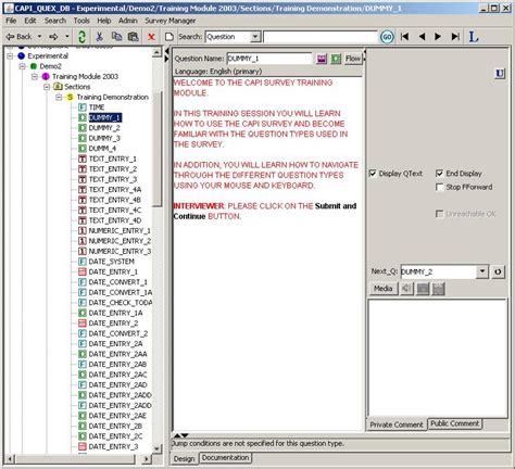 Sample Dummy Question Type