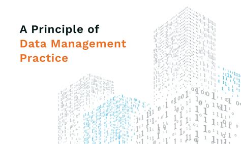value your data it is an asset principle of data management practice