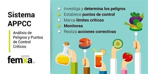 Mejora La Manipulación De Alimentos Siguiendo El Sistema Appcc