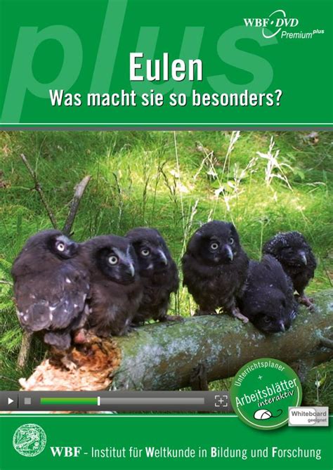 Eulen Wbf Innovative Medien Für Den Unterricht
