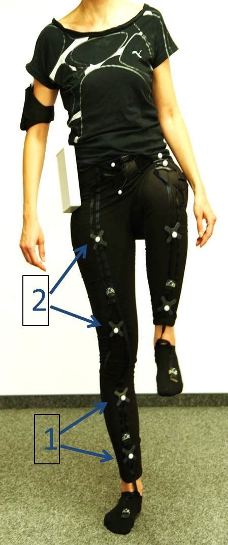 Setup For Evaluating The Knee Joint Angle Estimation During Knee Download Scientific Diagram
