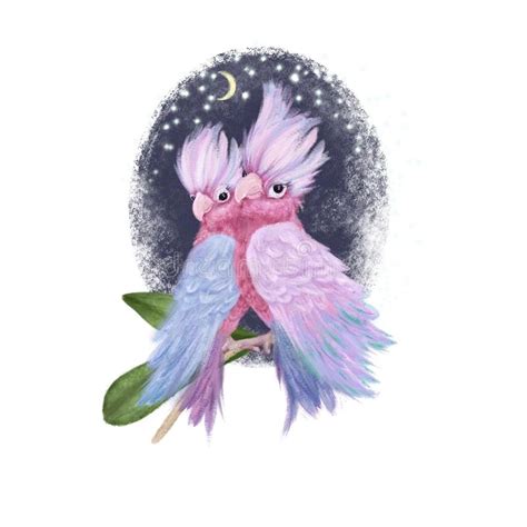 Colorful Hand Drawn Love Couple Of Cockatoo Parrots Sweet Dreams