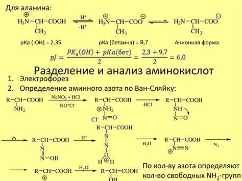 Аминокислоты 2 - презентация онлайн