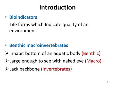 Benthic Macroinvertebrates As The Bioindicators Of Freshwater Polluton In River Dorr Pptx