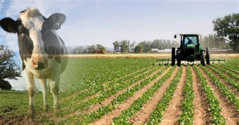 Régimen Agropecuario Unificado RAU modificaciones Bolivia