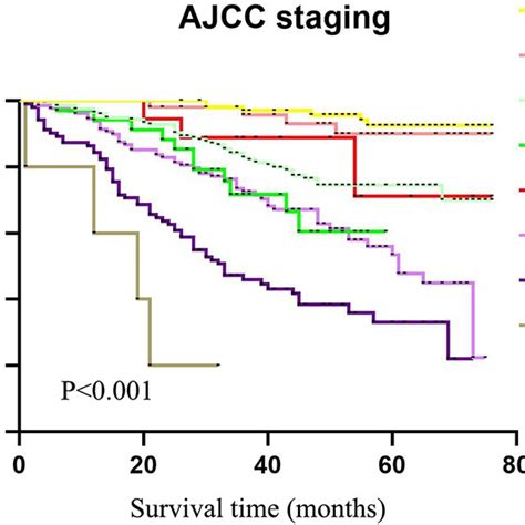 The 5 Year Survival Rate Of Crc Patients In The Training Set Using Crc