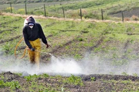 Ínfima Proporción De Tierras Agrícolas En Morelos Cuenta Con Seguro