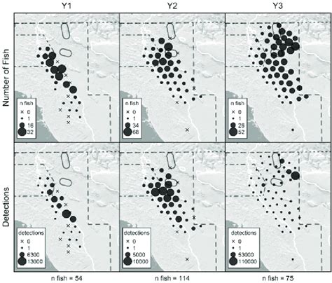 annual fixed station acoustic telemetry detections for the number of download scientific