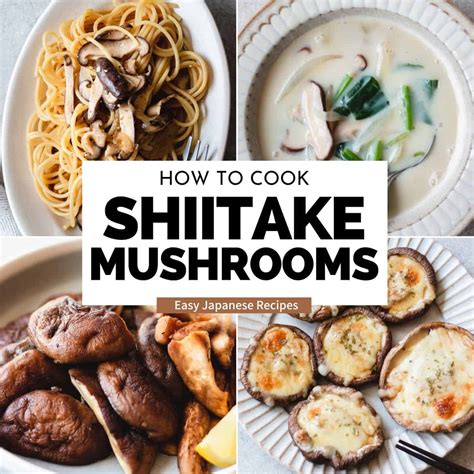 Shiitake Mushroom Recipe