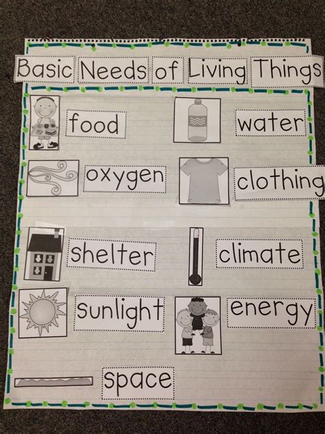 Basic Needs Of Man Worksheet For Kindergarten Free Math Worksheets