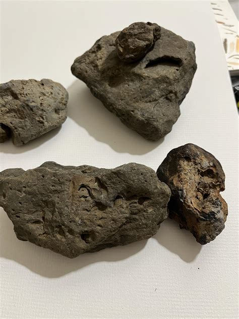 Pennsylvania Fossil Lovers Unite Anyone In Eastern Pa Wanna Do A Group
