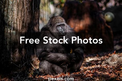 Messiaurawallpaper Photos Download The Best Free Messiaura