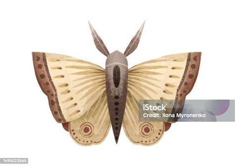 ลึกลับ Luna Moth เวกเตอร์ภาพประกอบการ์ตูนน่ารัก Batterfly ผีเสื้อ